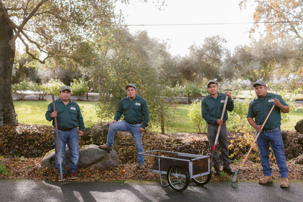 Vineyard Crew in Napa Valley and Sonoma - Crew
